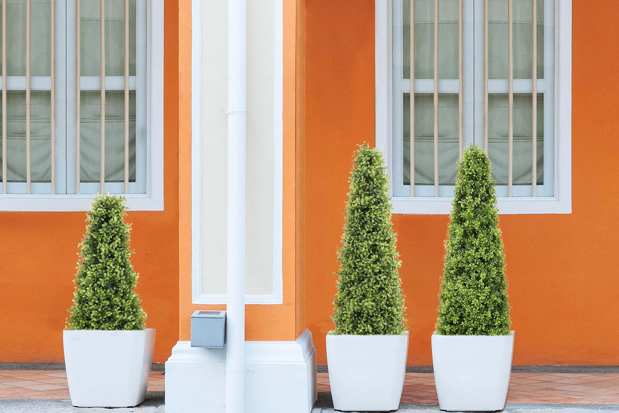 Lifelike Artificial Boxwood，Effortless Greenery for Any Space. – mypoetree